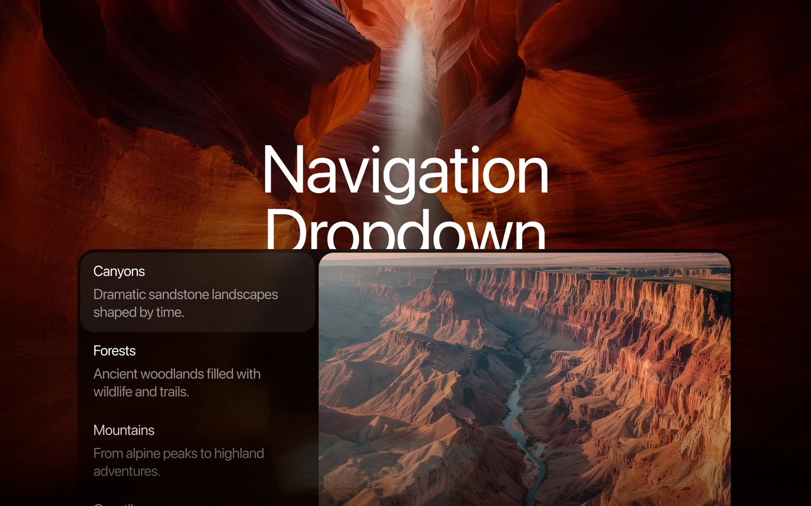 Navigation Dropdown — section code snippet | Details.so